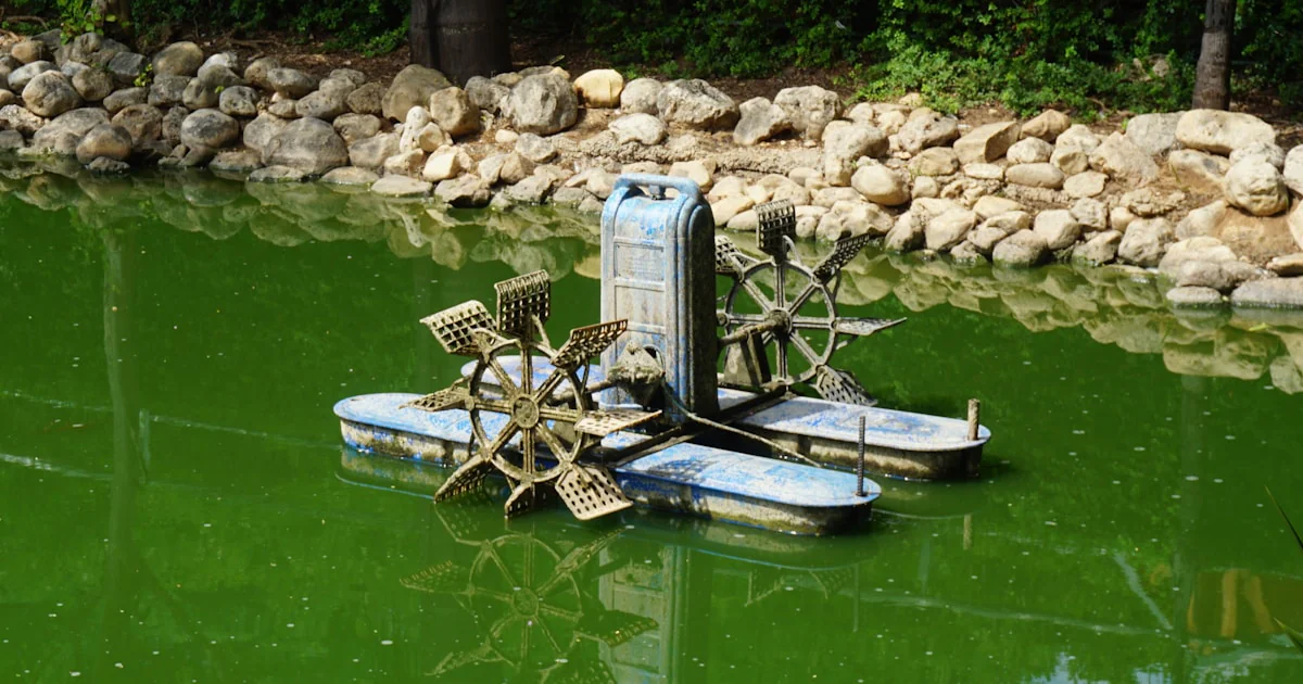 17 Stunning Aquatic Tank Landscaping Ideas to Transform Your Aquarium 🌿 ...