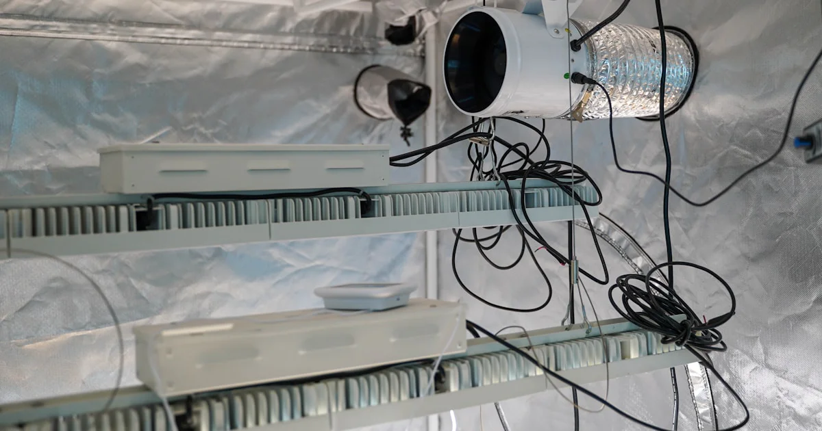 🔥 Top 12 Aquarium Heaters & Temperature Control Tips (2026) - Aquarium ...