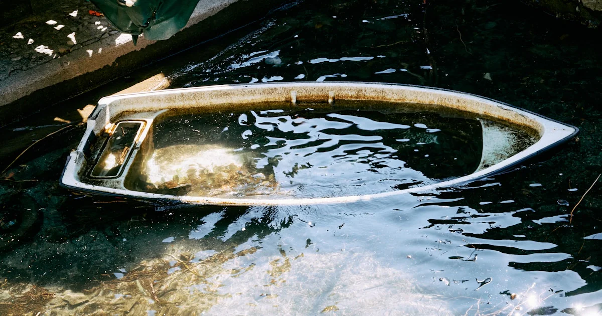 Why Regular Water Changes Are Vital for Your Fish Tank 🐠 (2026 ...
